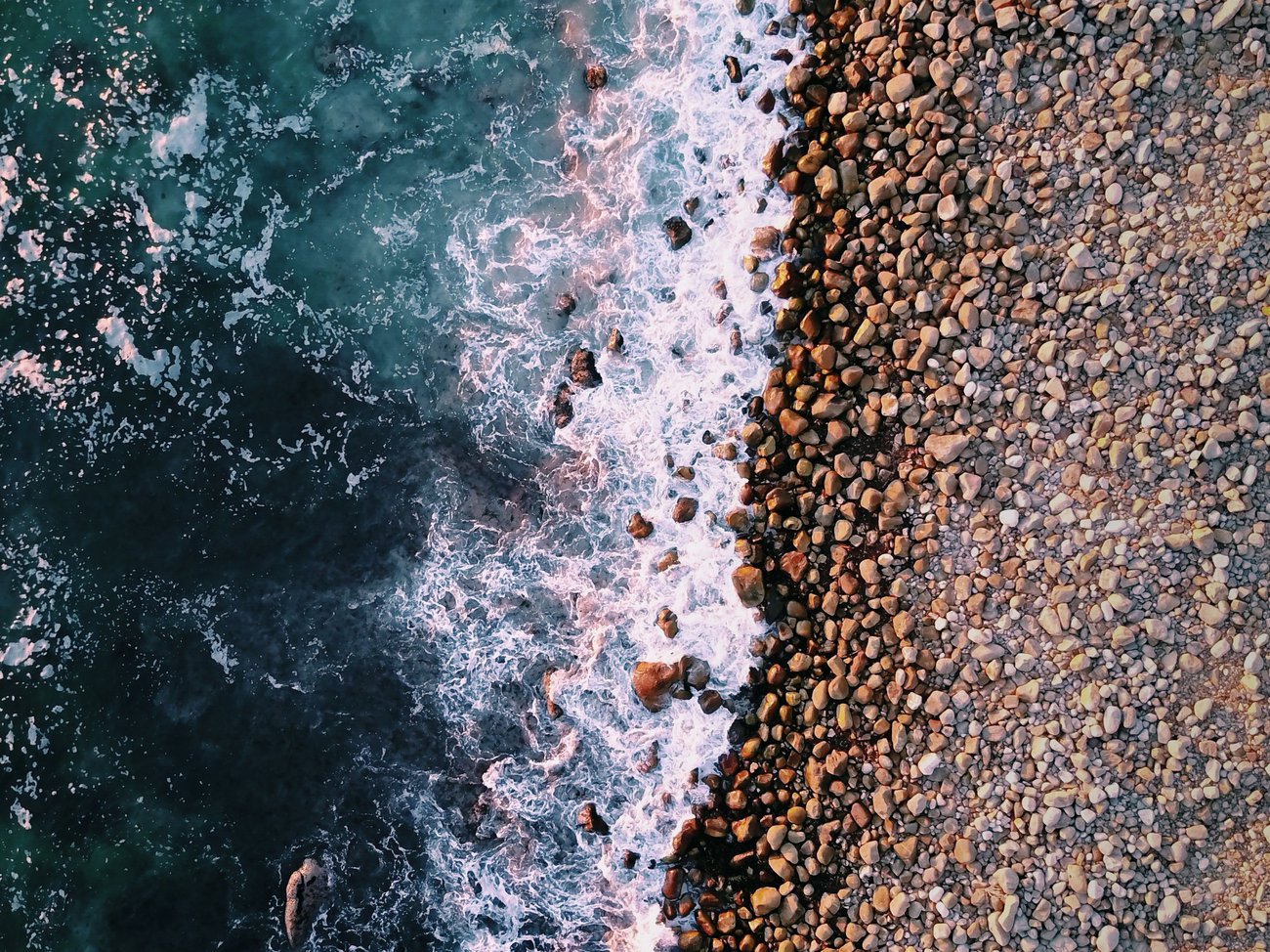 The Scientific Method: The World as Your Lab — Environmental Sciences ...